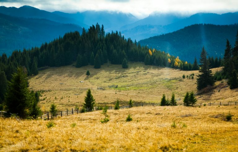 5 obiective turistice din Mures pe care ar trebui sa le vizitezi