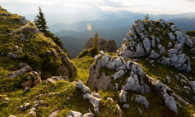 8 parcuri și rezervații naturale din România pe care le poți vizita ...