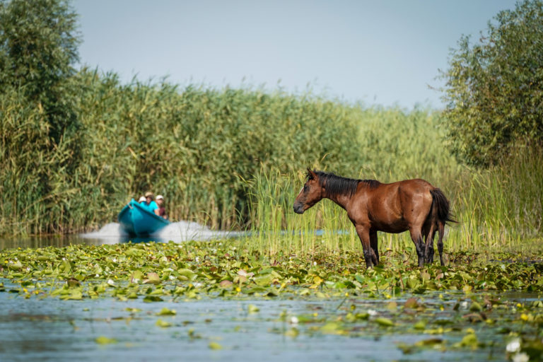 8 parcuri și rezervații naturale din România pe care le poți vizita ...