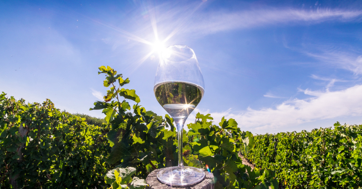 Drumul vinului – cele mai cunoscute trasee vitivinicole din România