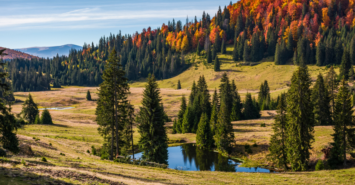 Top 10 peisaje de toamnă surprinse în România - Blogul Travelminit.ro