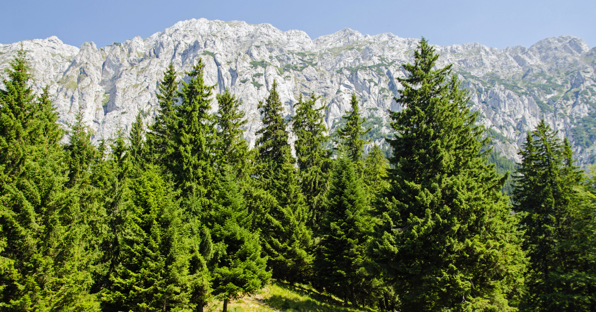 Top 3 trasee pentru o primăvară petrecută la munte - Blogul Travelminit.ro