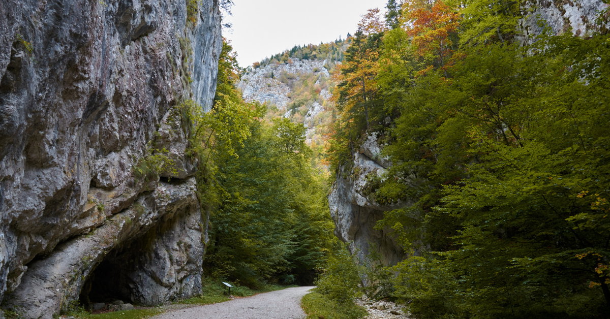 Destinațiile din România cu cele mai frumoase peisaje de toamnă ...