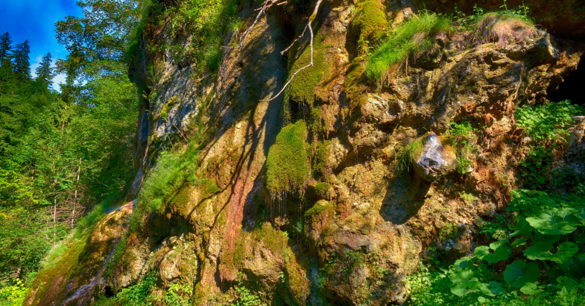 3 atracții pe care le poți vizita la Bran și în apropiere - Blogul ...